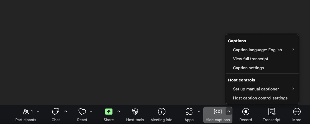Zoom Captions and Transcription